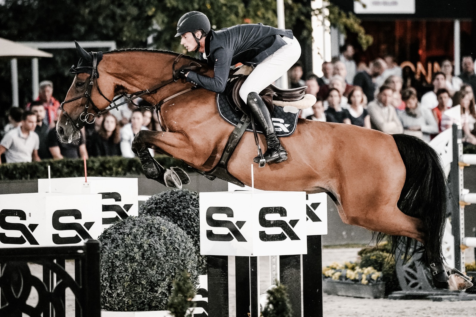 Ambassadors - Stephex Horsetrucks