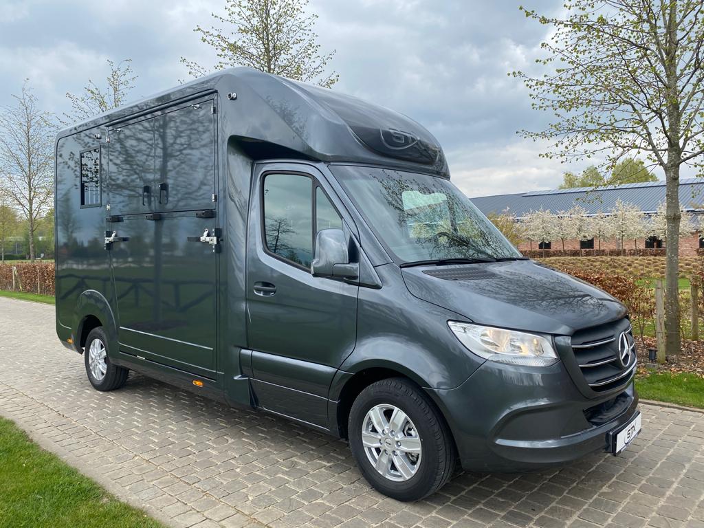 STX 2 HORSES Exclusive Mercedes Benz Sprinter - Stephex Horsetrucks
