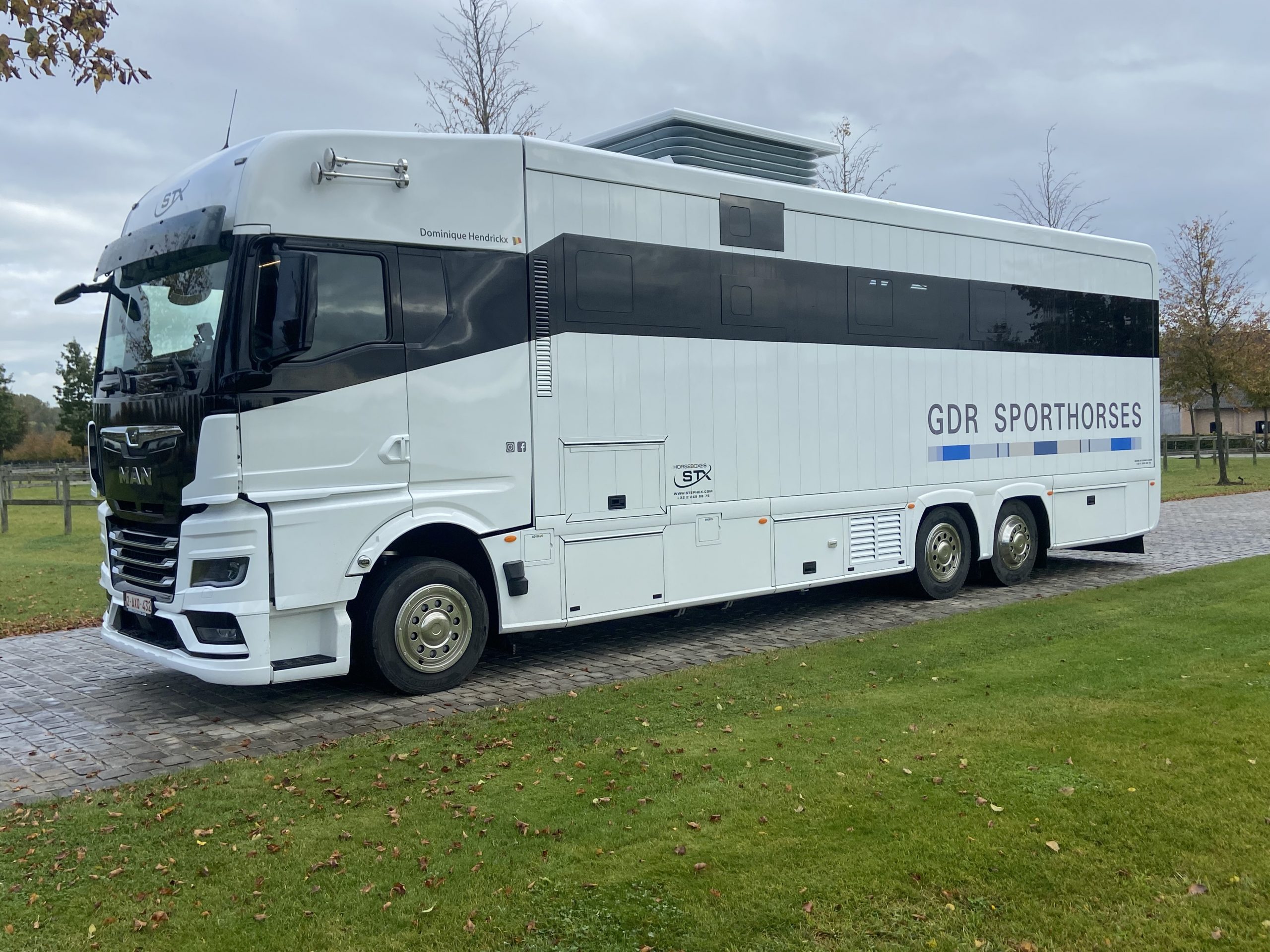 STX HORSEBOX MAN TGX 8 Horses - Stephex Horsetrucks