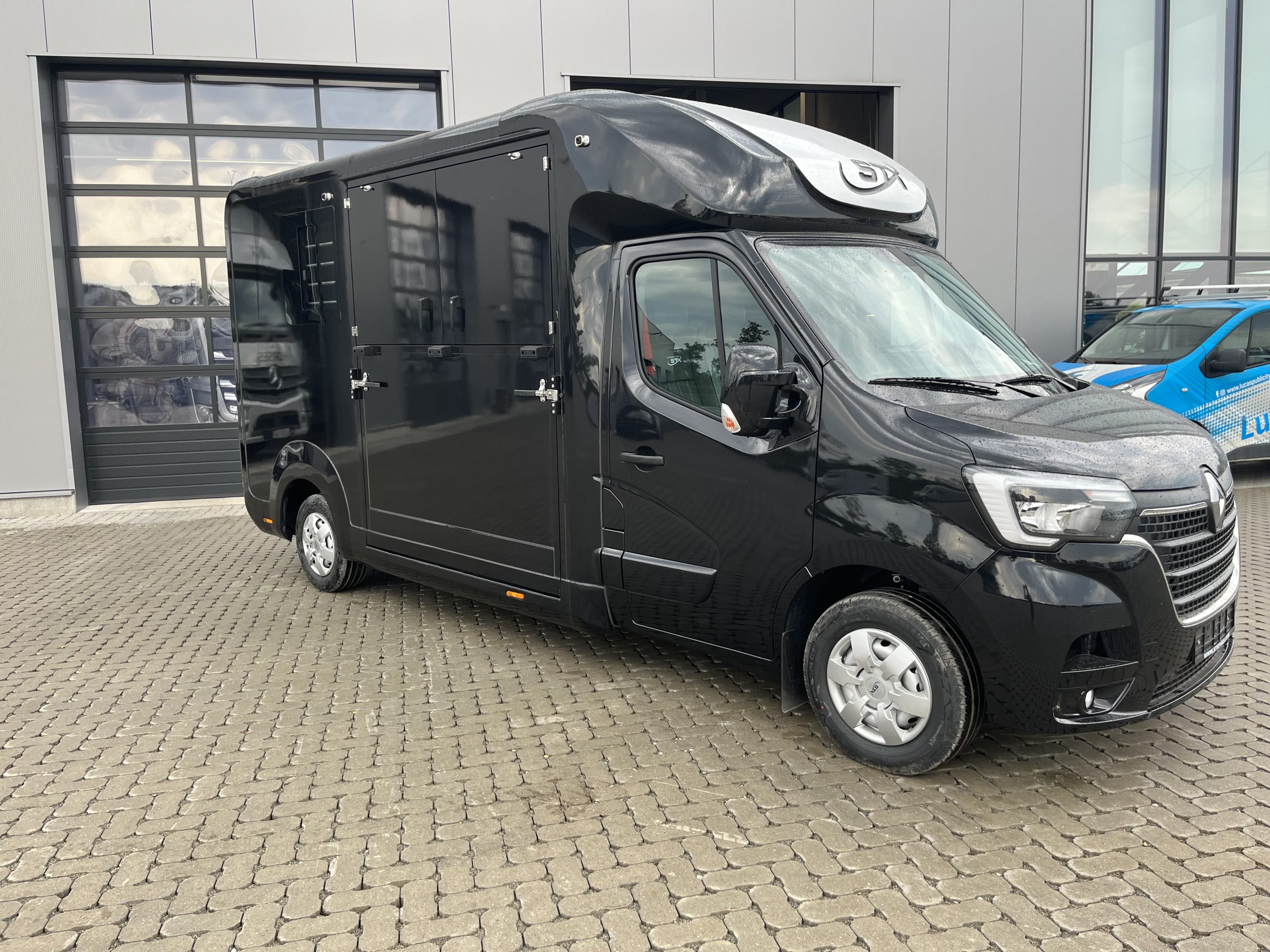 STX 2 HORSES Renault Master 165 hp - Stephex Horsetrucks