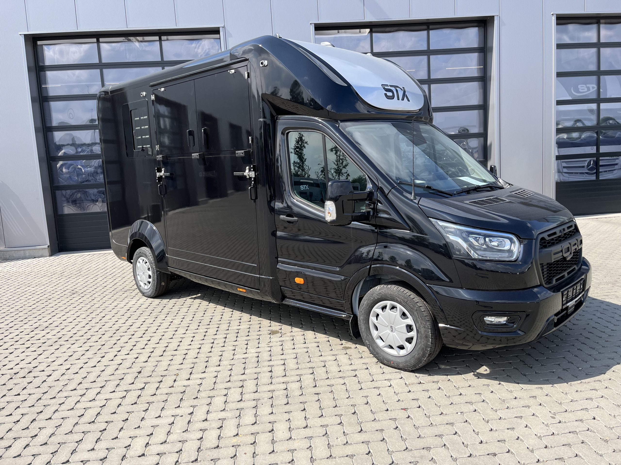 STX 2 HORSES Ford Transit 160 - Stephex Horsetrucks