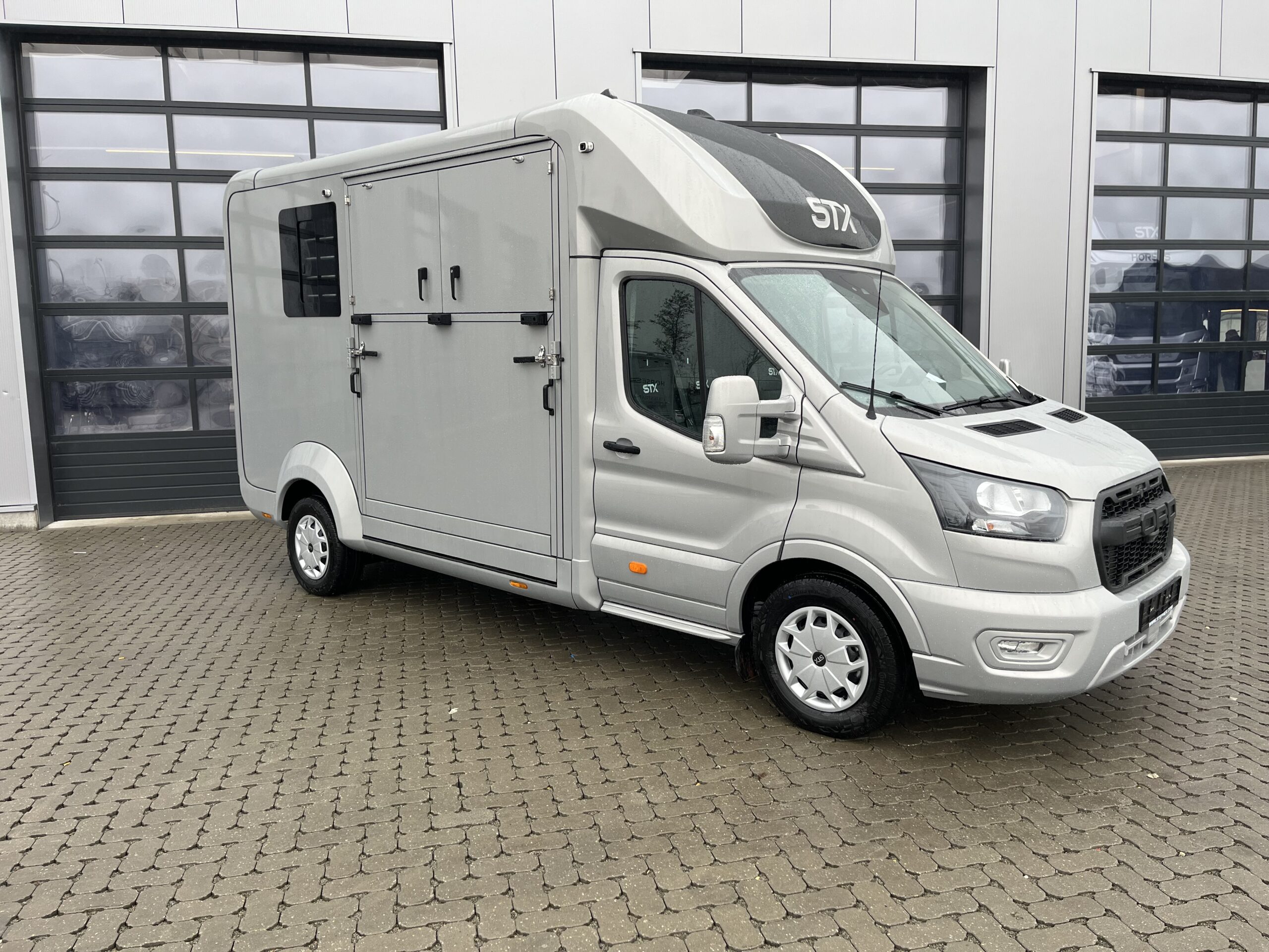 STX 2 HORSES Ford Transit Automatic - Stephex Horsetrucks