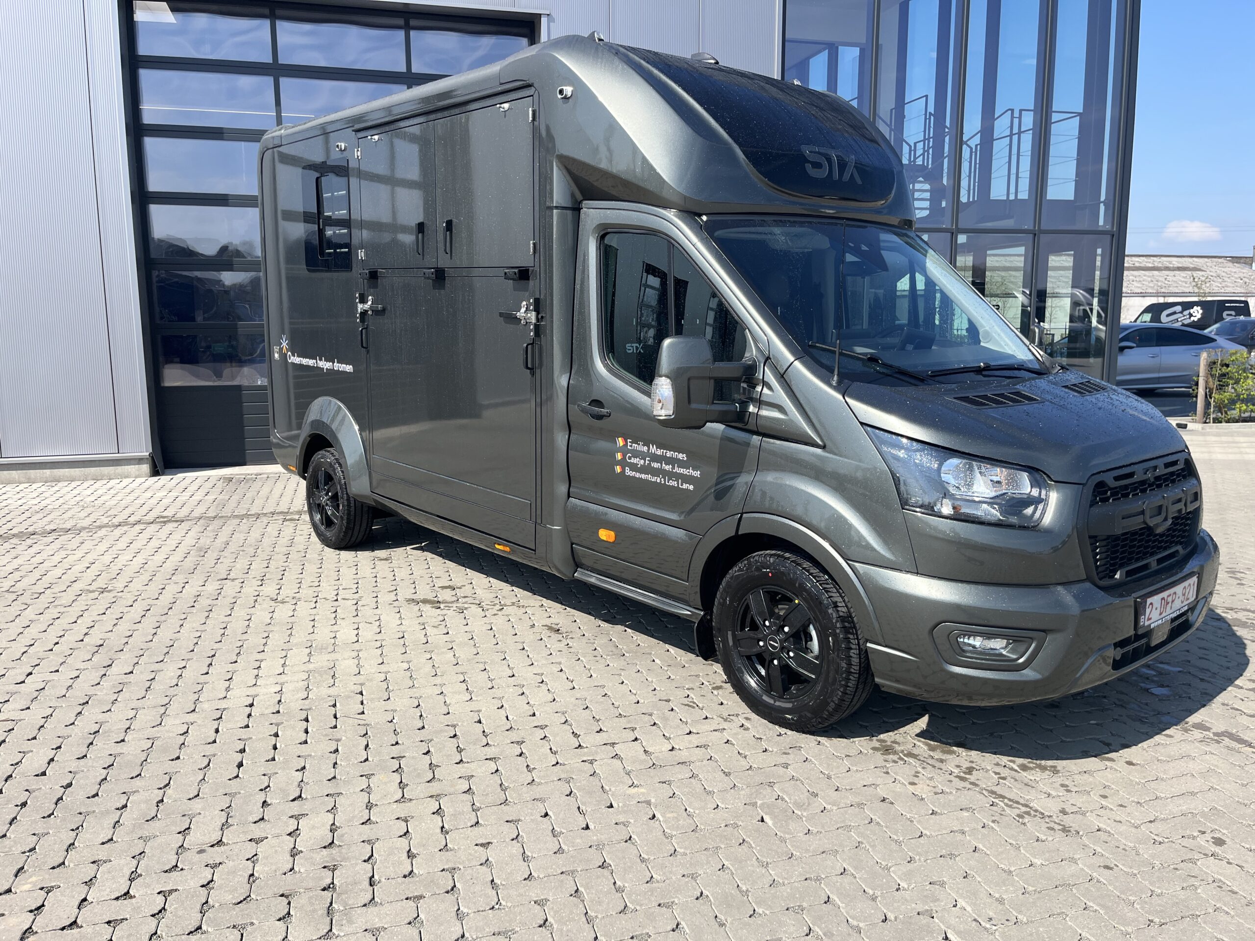 STX 2 HORSES Ford Transit 160 - Stephex Horsetrucks