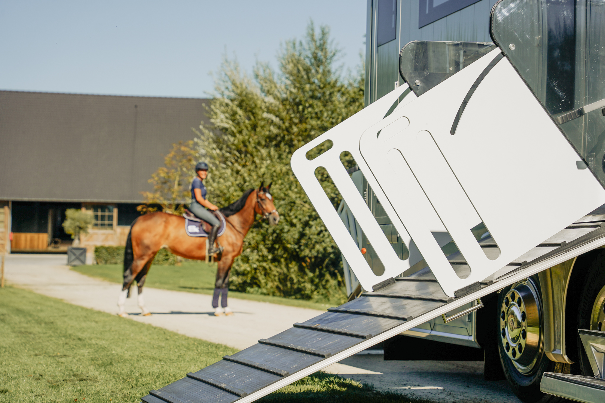 The Ultimate Guide to Horse-Friendly Horsetruck Loading - Stephex ...