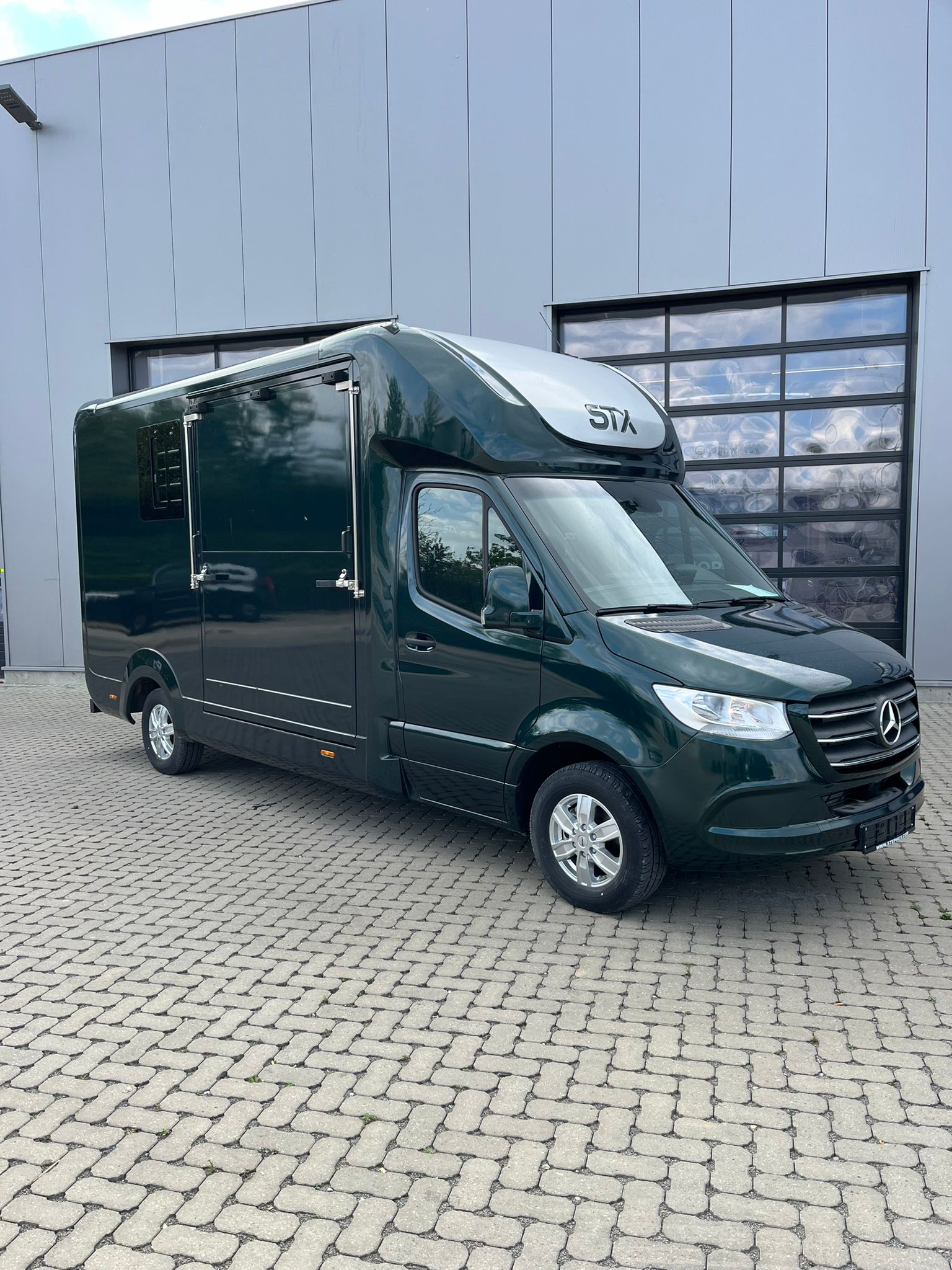 STX HORSEBOX MB Sprinter 419 2 Horses - Stephex Horsetrucks