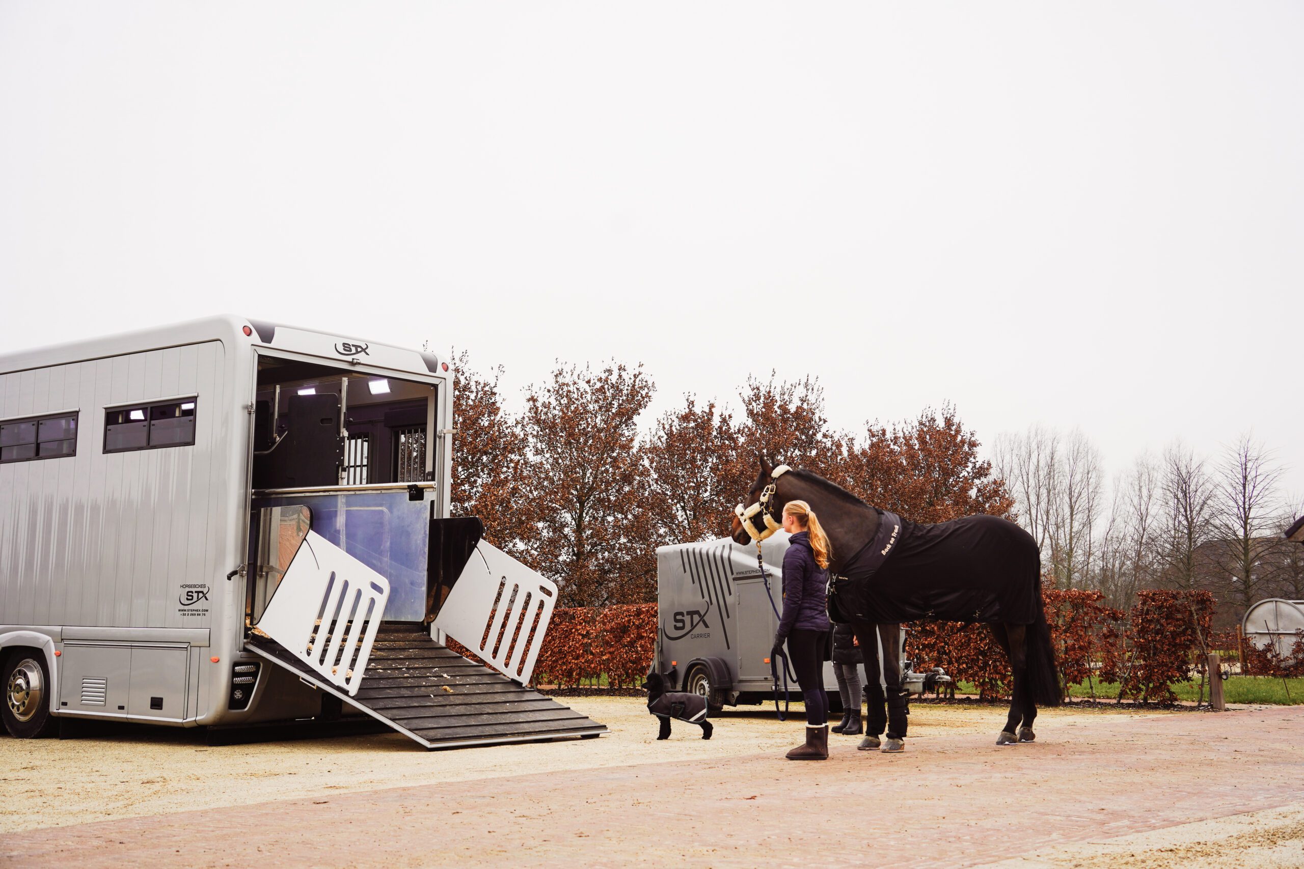 Why Buying a Second-Hand Horsetruck from Stephex is a Smart, Affordable ...