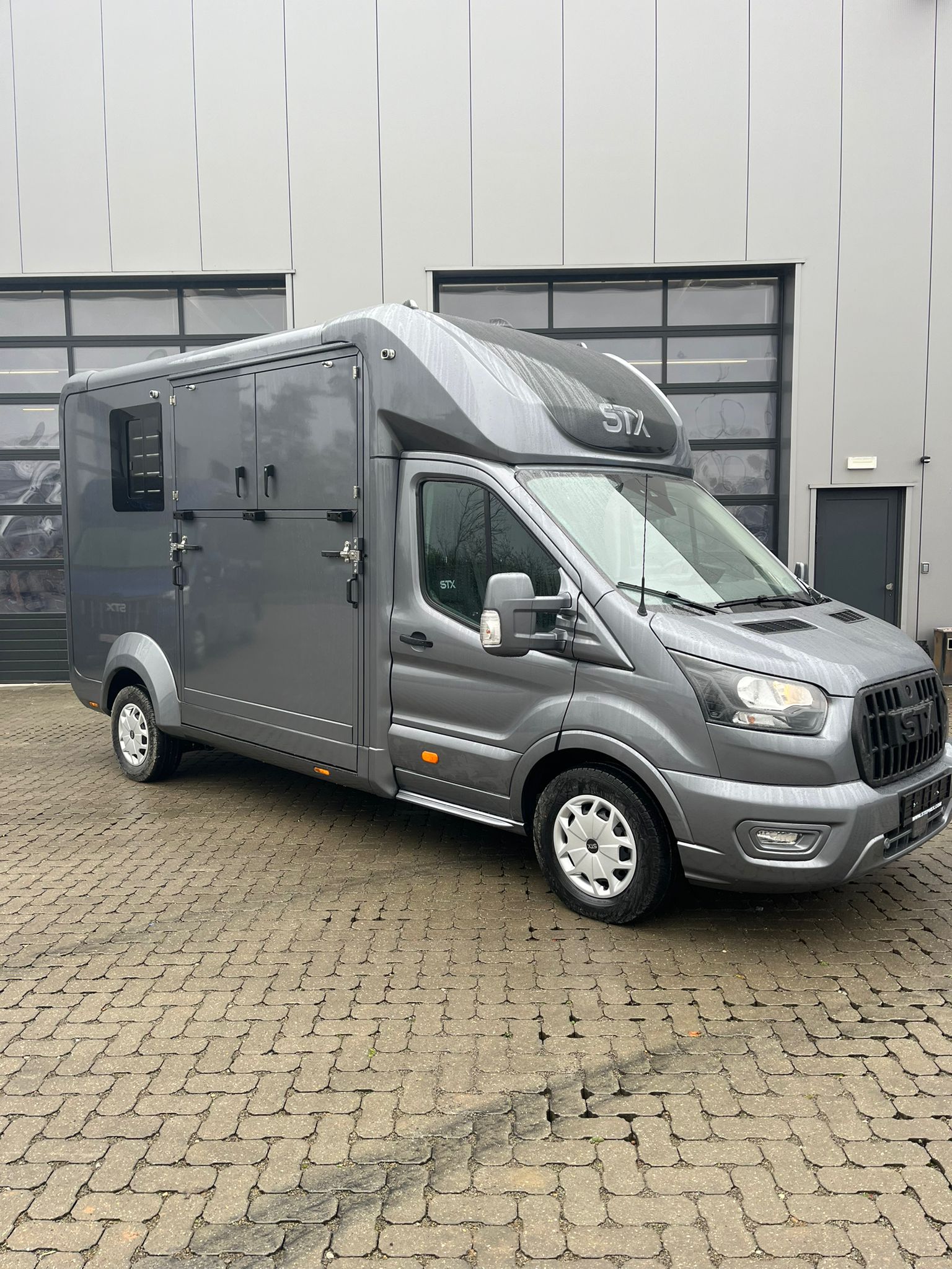 STX 2 HORSES Ford Transit 160 - Stephex Horsetrucks