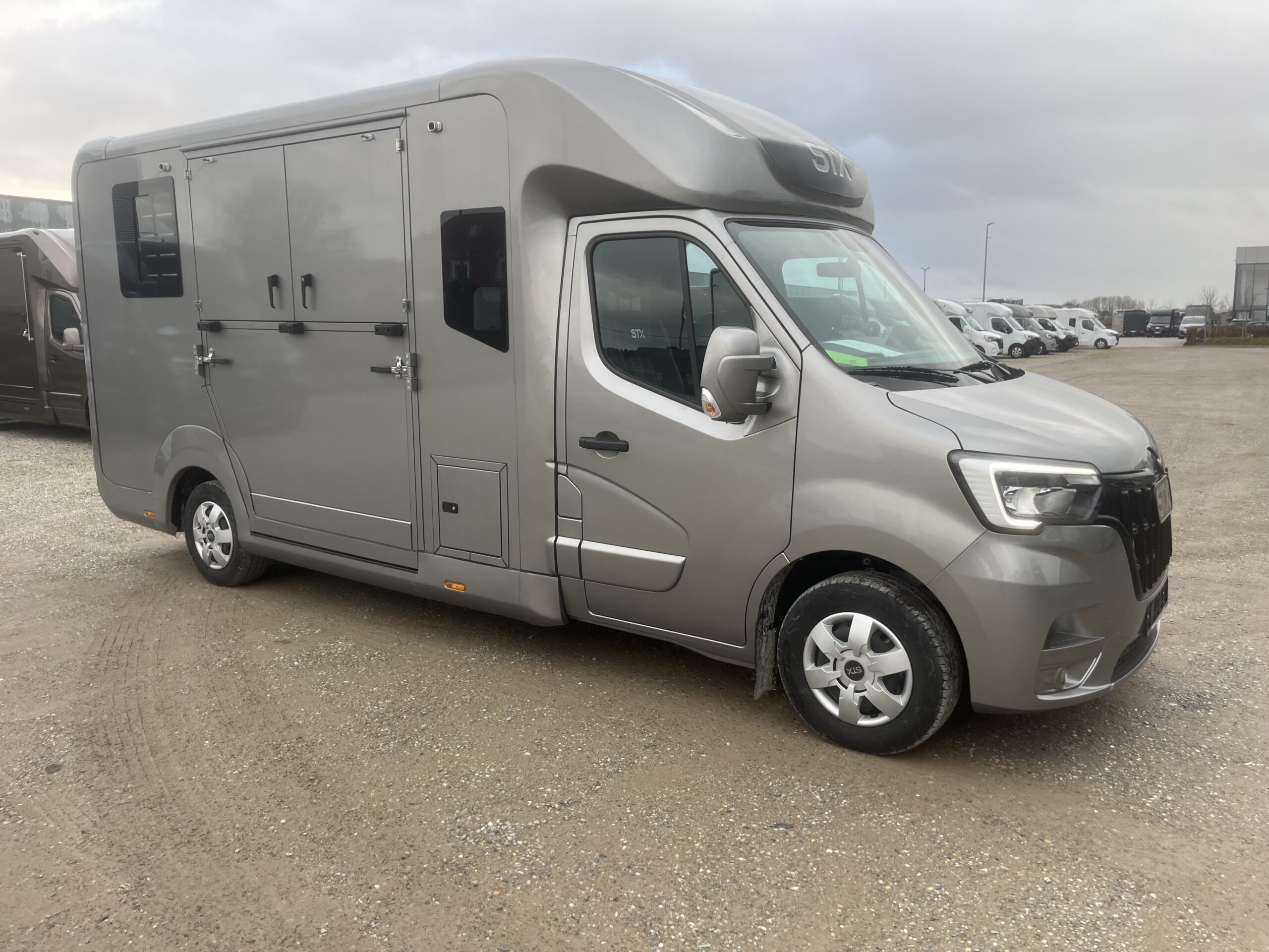 STX 2 HORSES Renault Master 180 - Stephex Horsetrucks