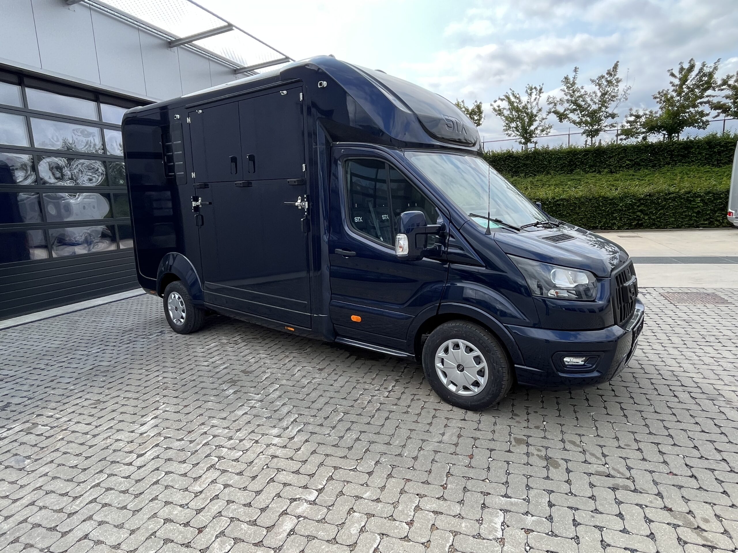 STX 2 HORSES Ford Transit 160 - Stephex Horsetrucks