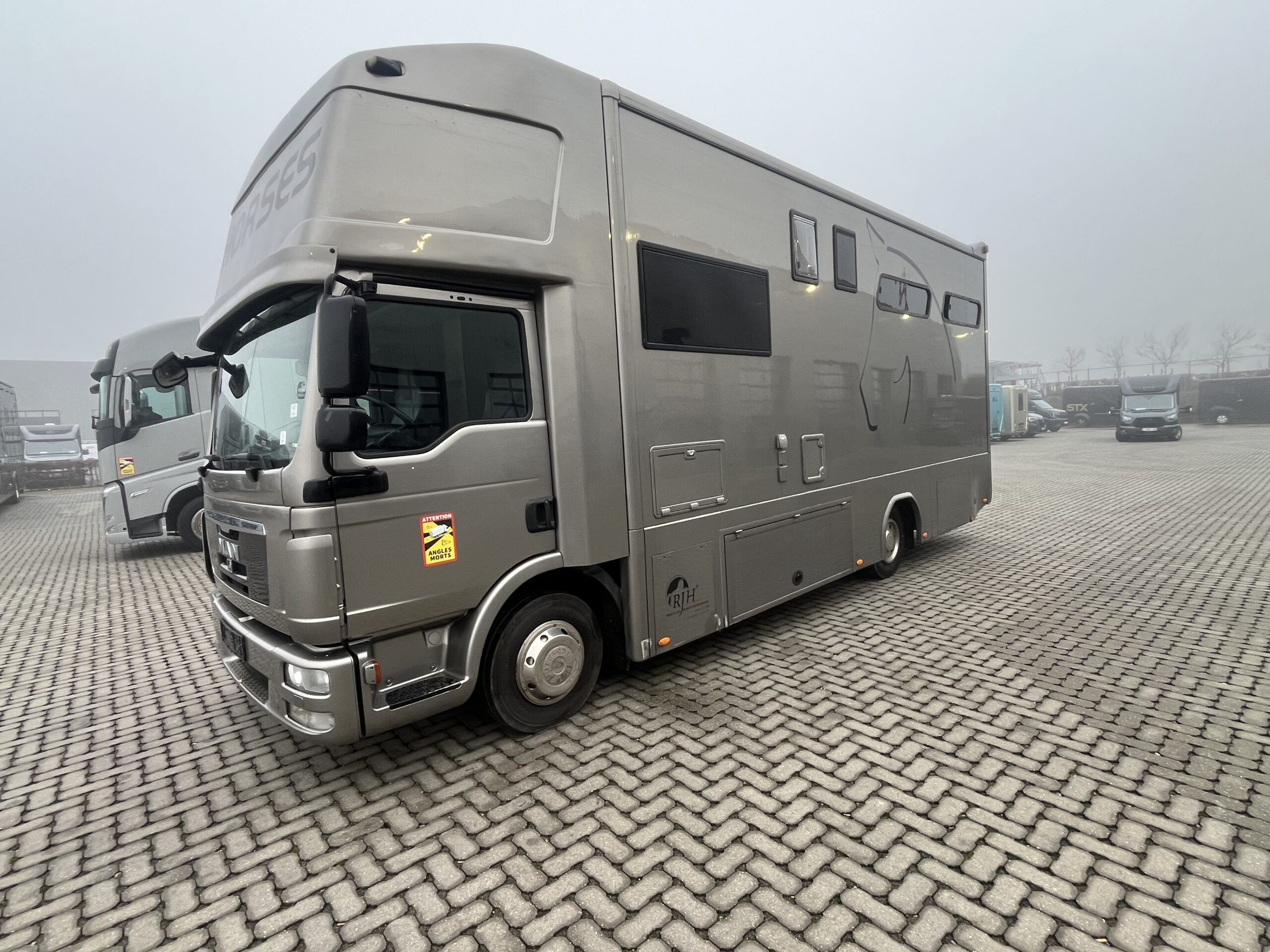 MAN TGL HORSEBOX 3 HORSES - Stephex Horsetrucks